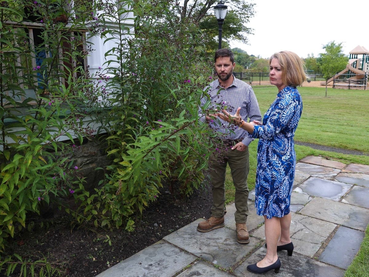 Invasive species week is here: Town urges residents to stop the spread