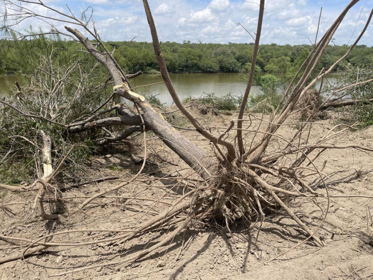 County judge confirms border wall crews are clearing federal floodplains