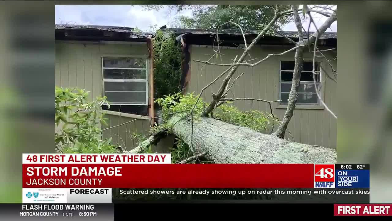 Heavy rainfall causes flooding, downed trees across Jackson County