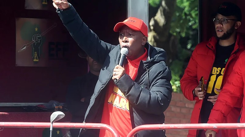 Julius Malema files urgent contempt application against Ngizwe Mchunu