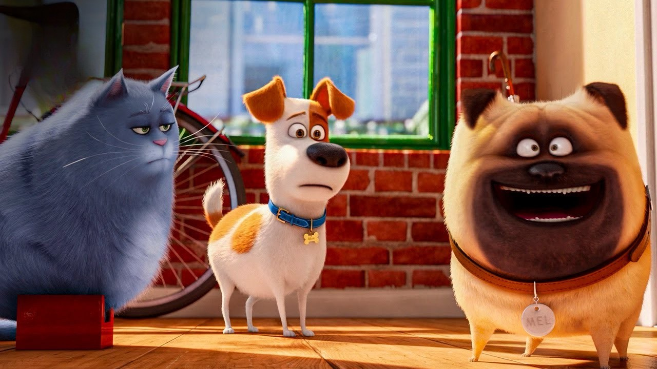Welcome to New York (Taylor Swift) - Meet the pets | The Secret Life of ...