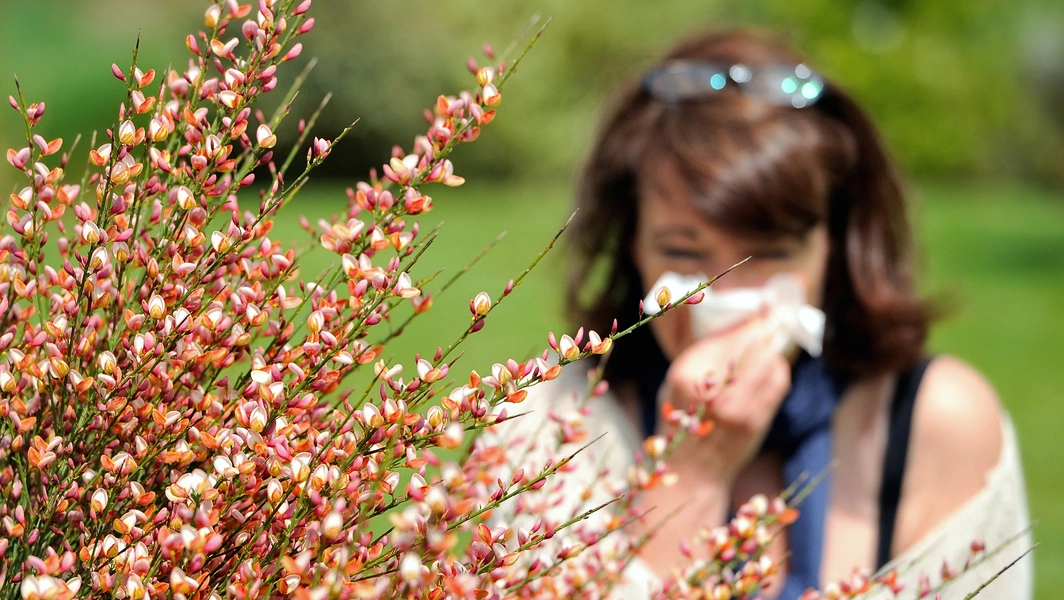 Telling allergies apart from viral illnesses