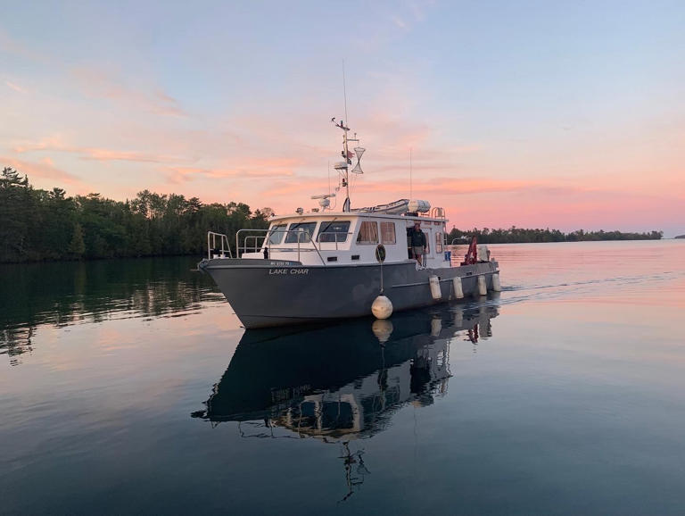 Researchers investigating 'zombie fish' in Lake Superior