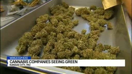 Cannabis companies see green as World Cup fans arrive in Kansas City