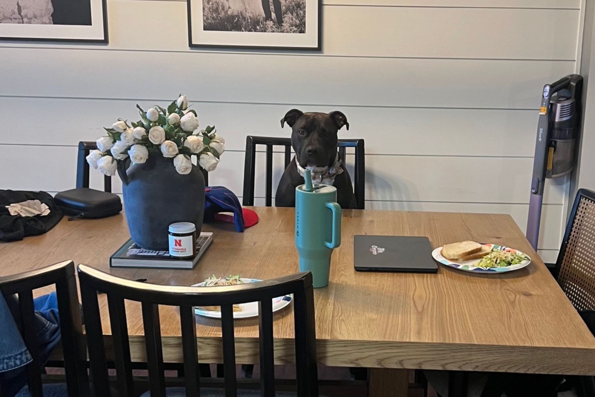Owner receives dog's report card from daycare, learns something unexpected