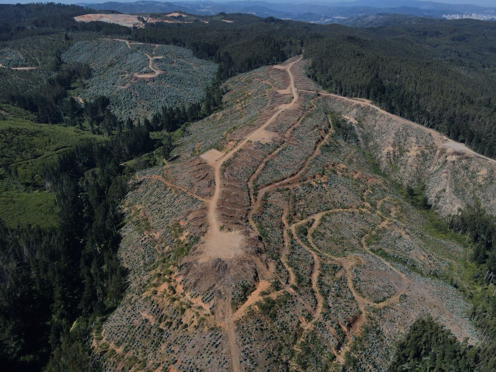 CoEva del Biobío aprueba proyecto minero de tierras raras en Penco
