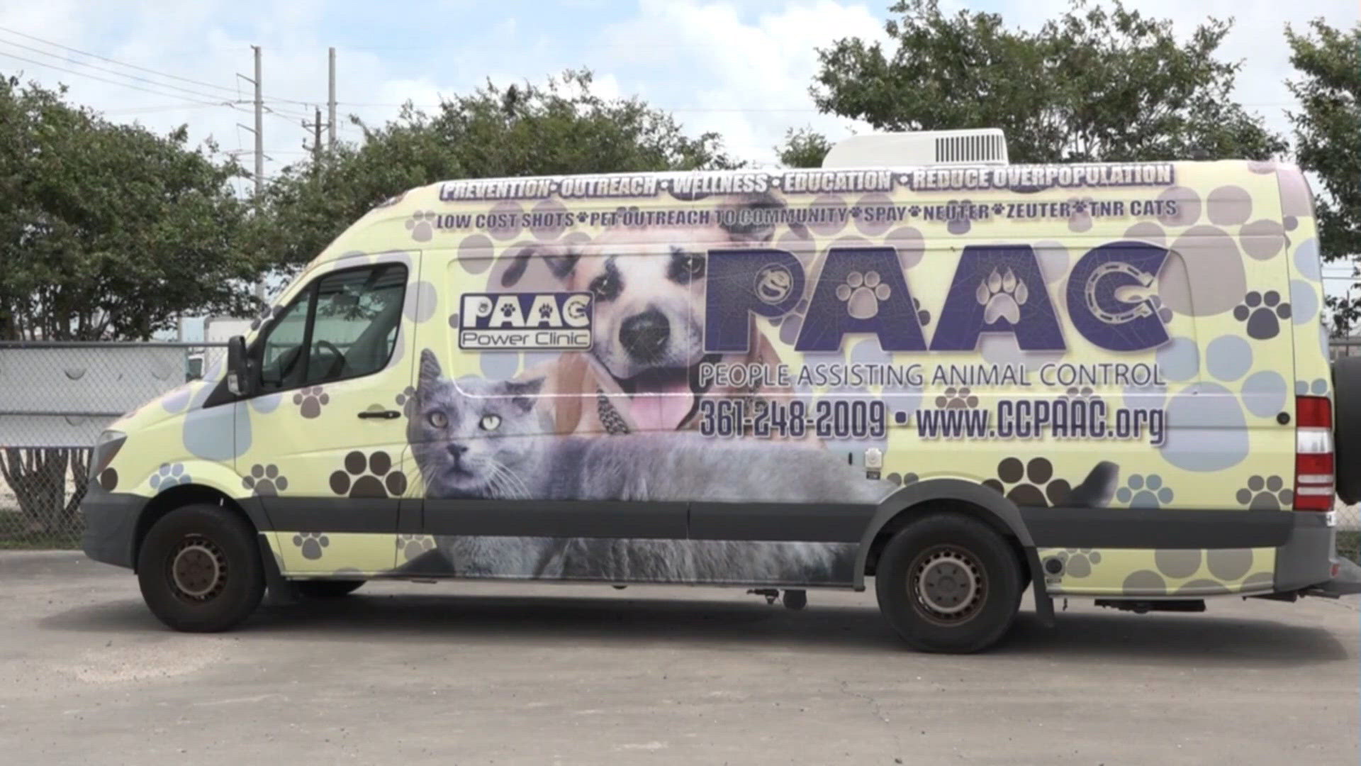 Pet owners urged to stay vigilant as New World screwworm cases spread ...