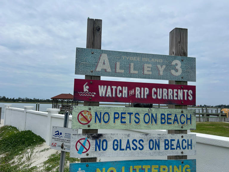 Volunteers search Tybee marshlands for missing dog after duplex fire