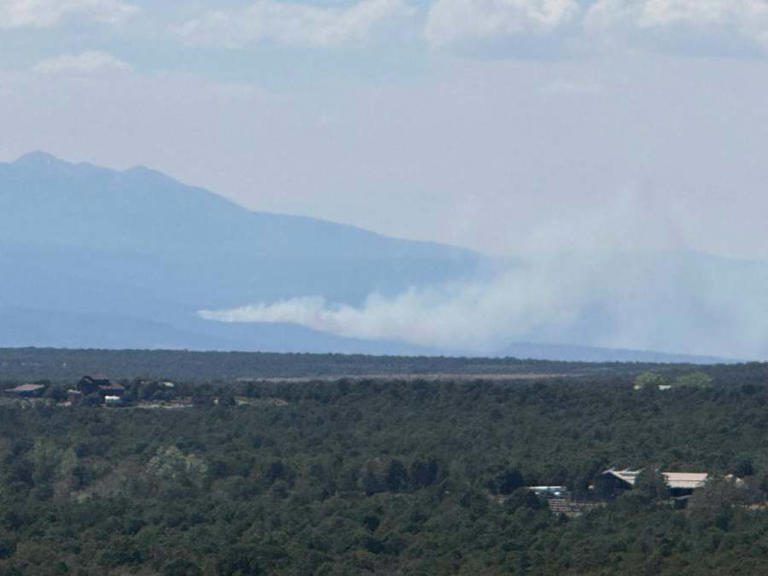 Bee Hive fire rapidly spreads in Montrose County