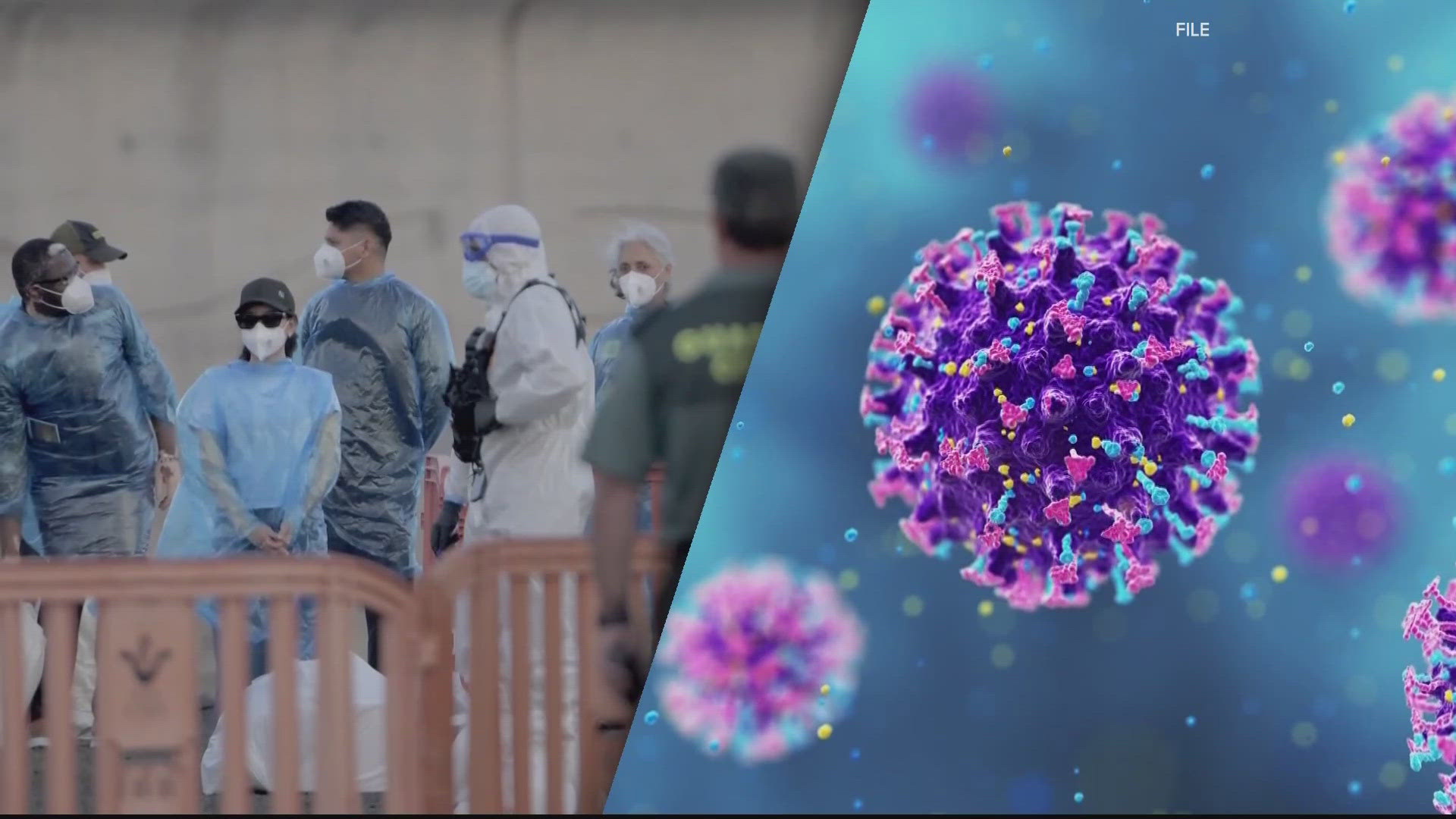 WSU scientists find new model for identifying where viruses come from