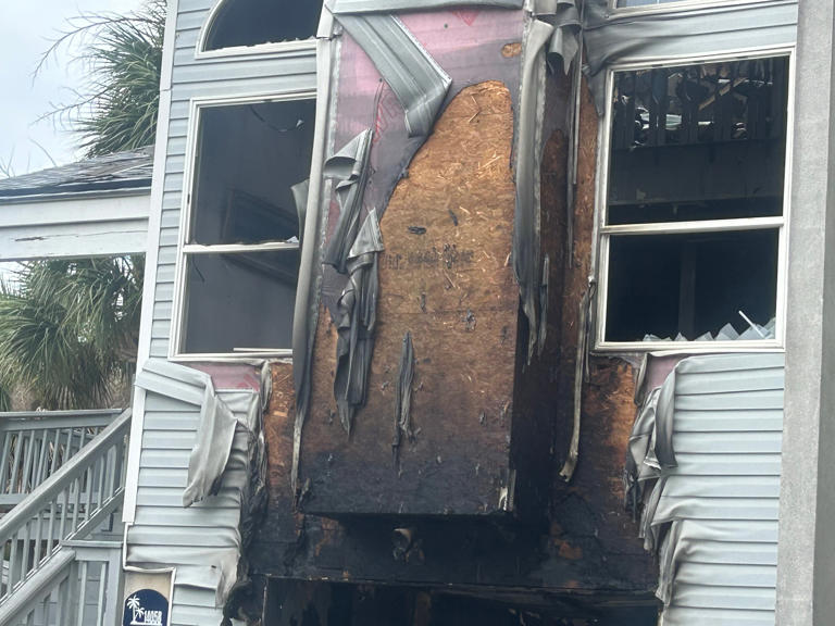 Volunteers search Tybee marshlands for missing dog after duplex fire