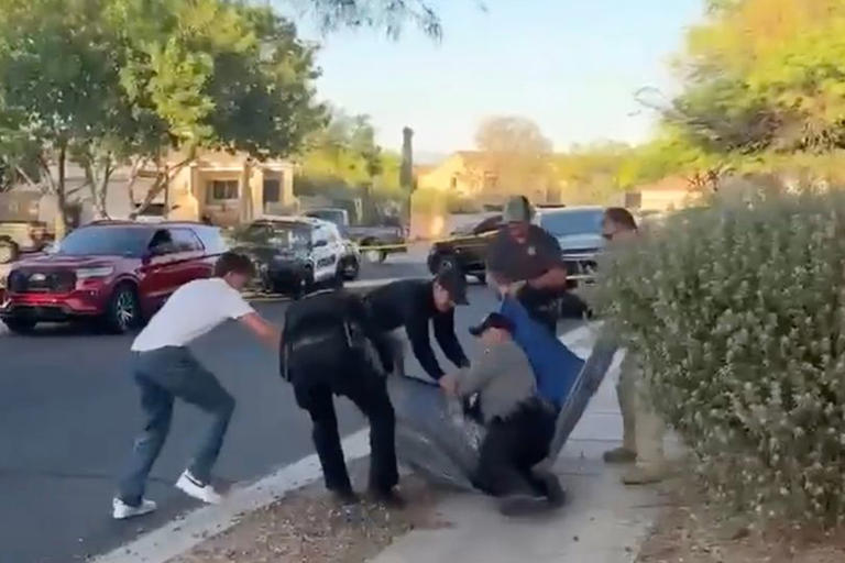 Police officers fall over themselves while catching falling bear from tree