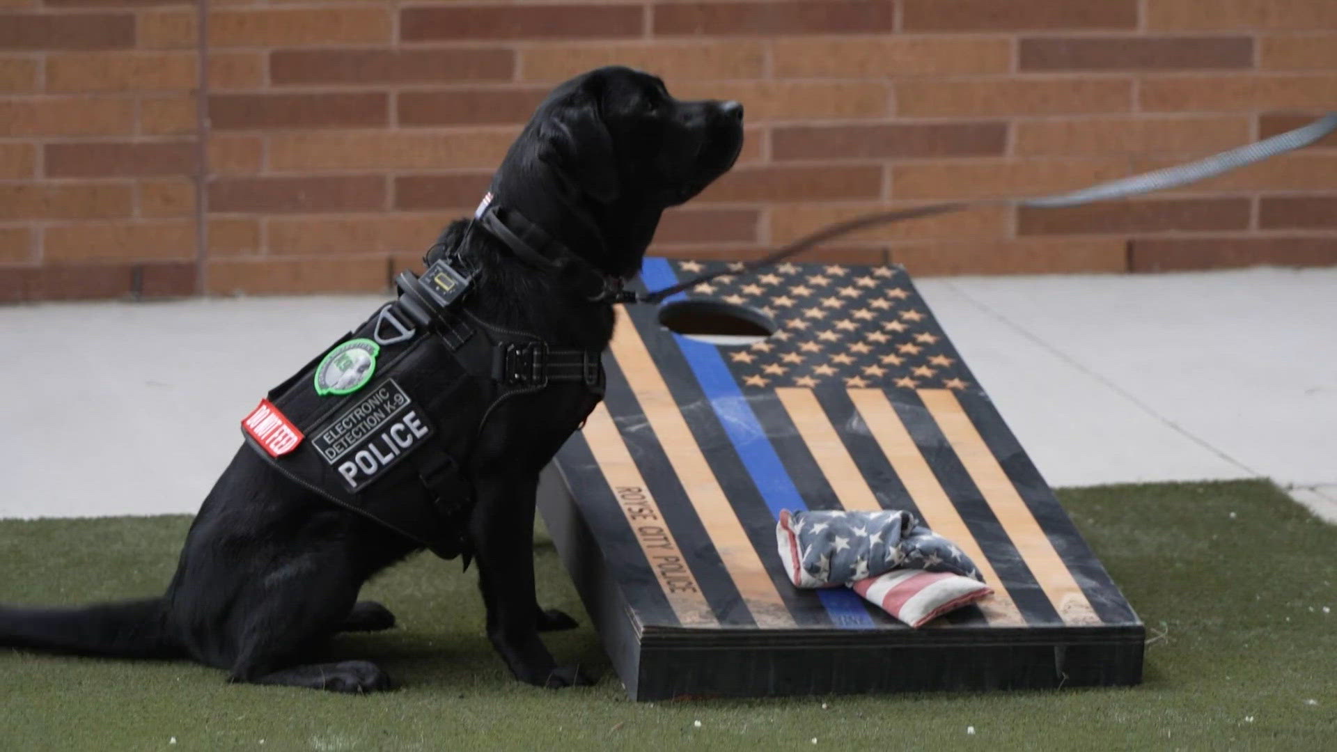 North Texas police K-9 trained to find hidden electronic evidence in ...