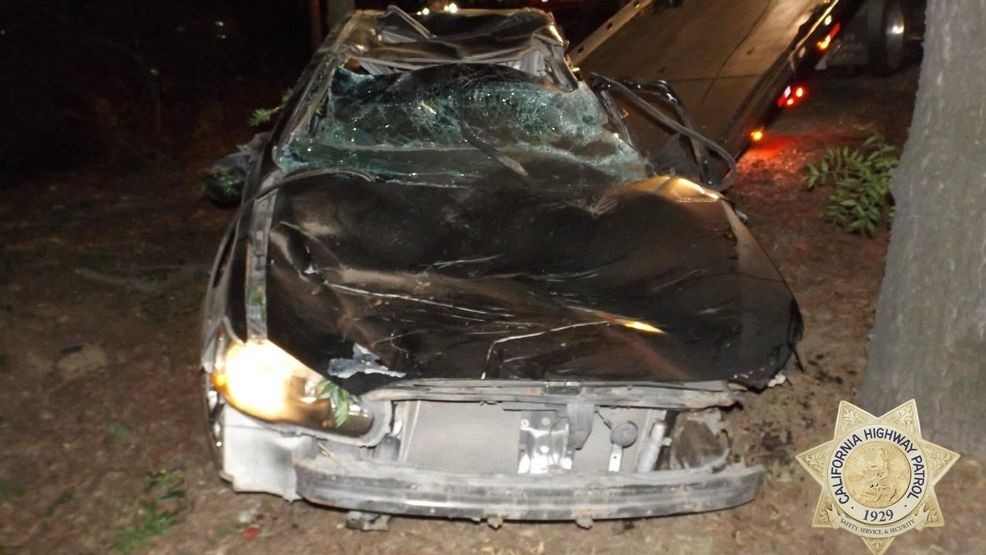 Man killed in solo Highway 99 crash after car veers off road and hits tree
