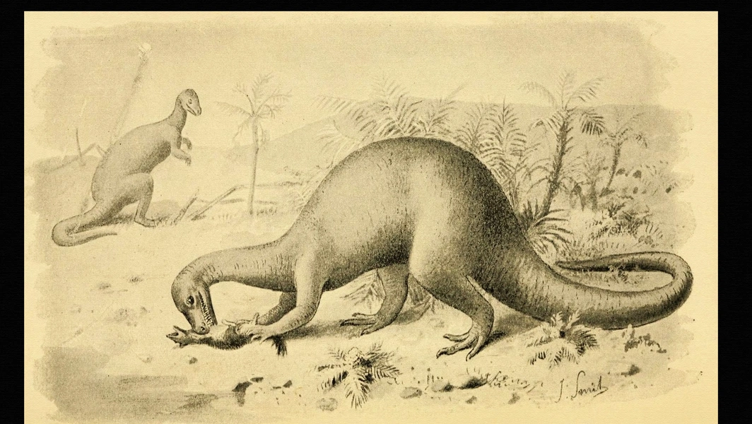 16 groundbreaking fossil discoveries through time