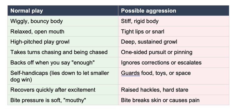 Aggressive puppy or normal play? Spot the danger signs and fix problems