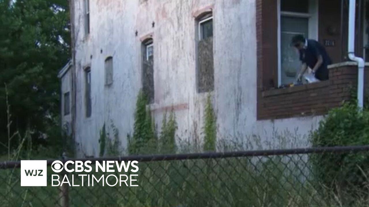 Rats, cats, drug users at Baltimore vacant property have neighbors ...