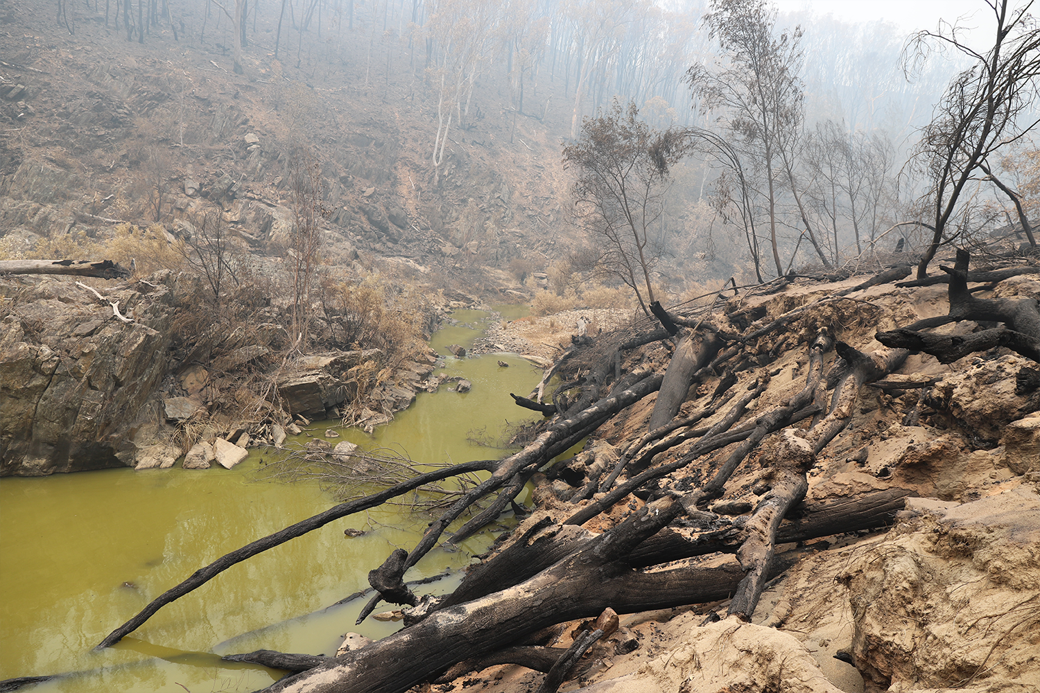 Harrowing creek photos spark fears for ancient species facing extinction