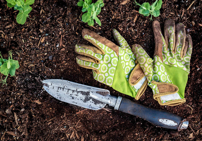 How to make dirty garden gloves look brand-new again