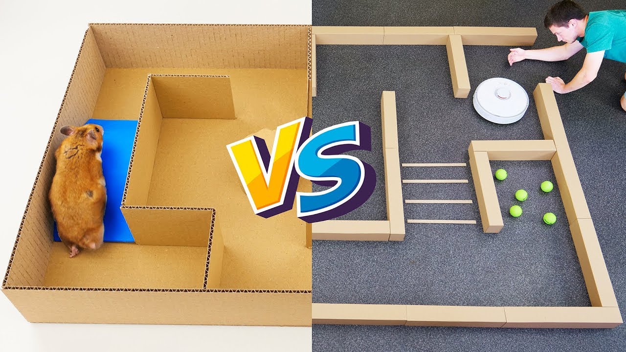 Hamster vs robot vacuum cleaner in a maze! Who is the best?