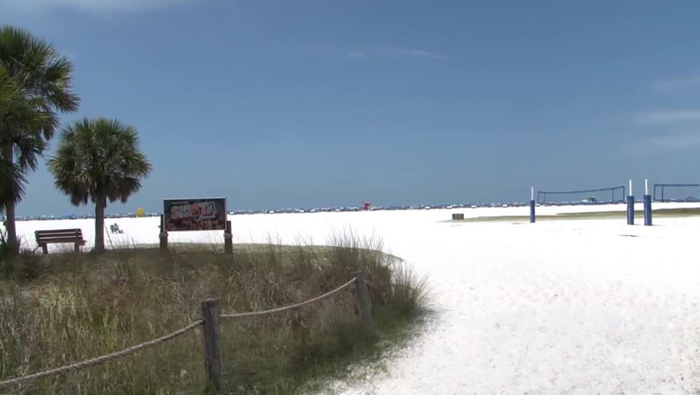 Seven-member task force to address Siesta Key improvements