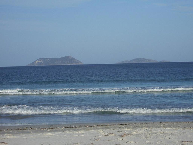 Teen’s brave act during fatal shark attack