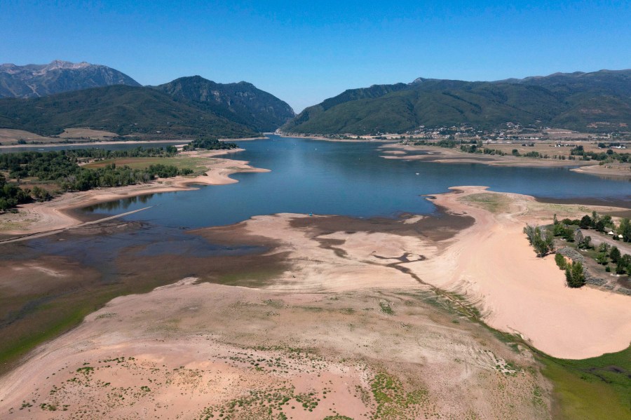 13-year-old girl critically injured after tree falls on her at Pineview ...