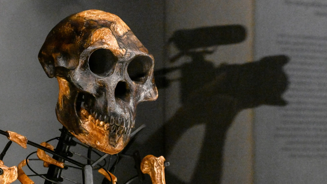 10 oldest human fossils ever discovered