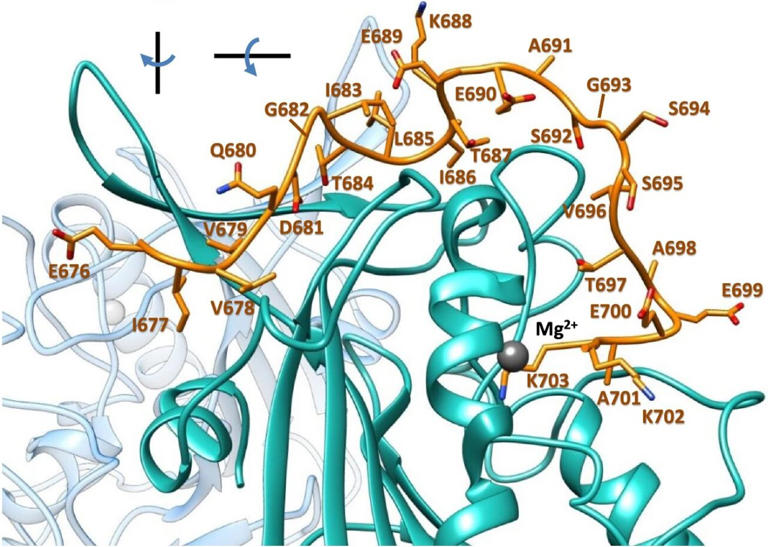 Peptide blocks DNA breaks tied to treatment-induced leukemia, offering ...