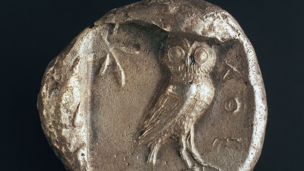 5 birds and their symbolic meanings across cultures