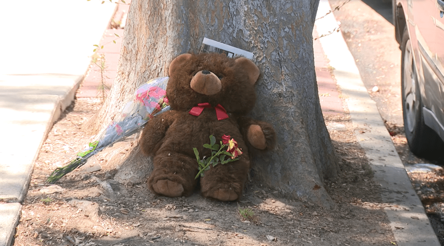 Father killed twin boys, shot at mother before taking his life in ...