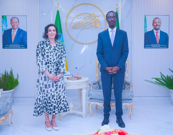 Ethiopia's FM Gedion confers with EU commissioner for equality ...