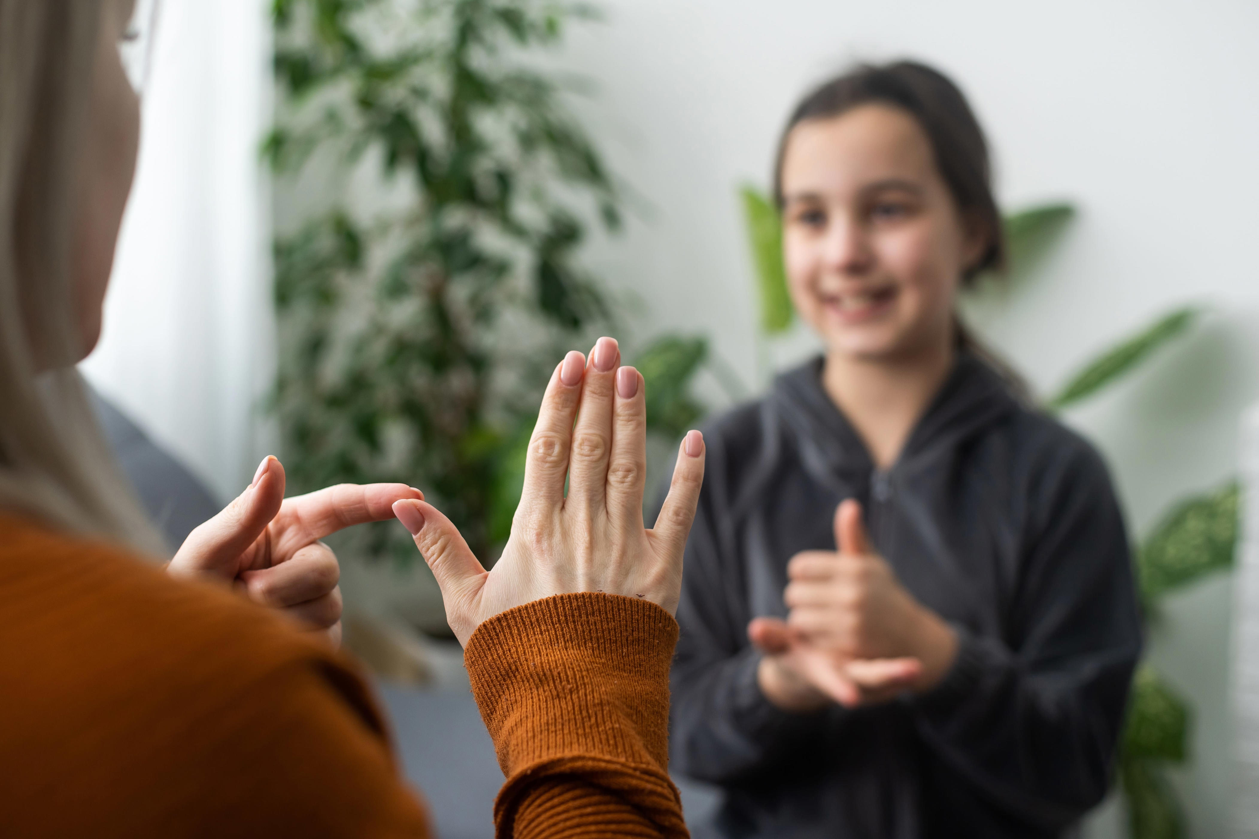 Knesset passes bill recognizing Israeli Sign Language