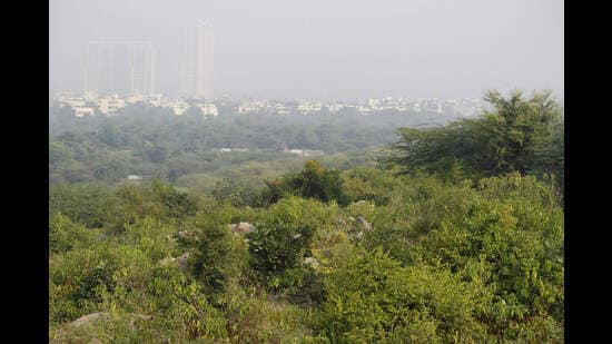 Green groups hail Aravalli safeguards in NCR 2041 plan