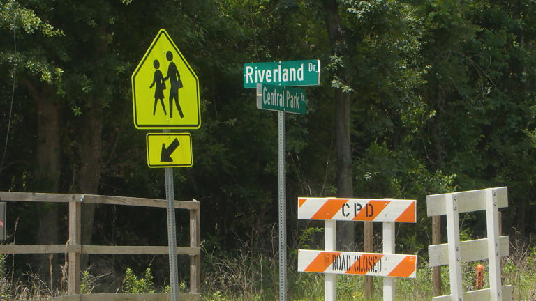 County proposes tree removal and mitigation plan for James Island road ...