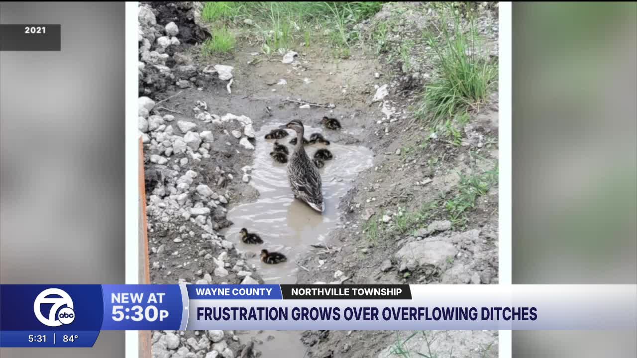 7 Action News, WXYZ-TV, metro Detroit, Detroit, 7 News Detroit