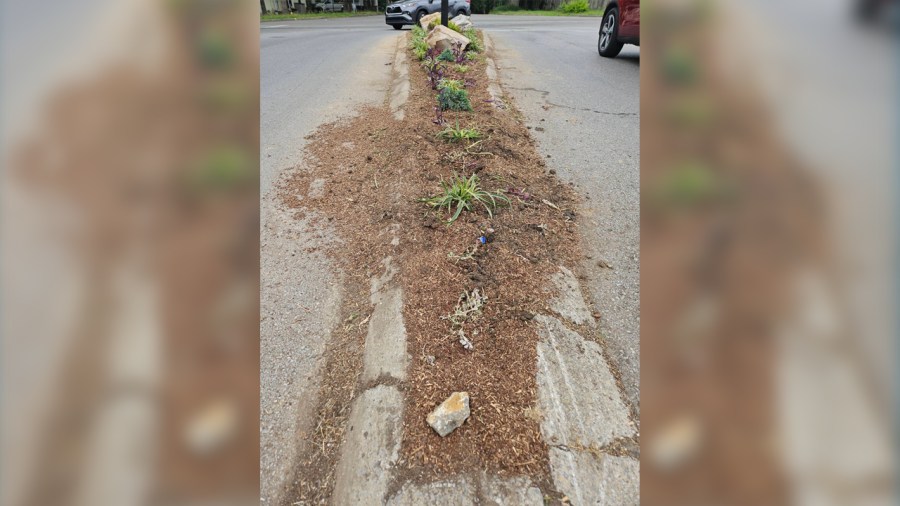 Neighborhood landscaping project damaged in Antioch