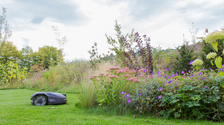 Consumer Reports names the best robotic lawn mower for small yards in 2026