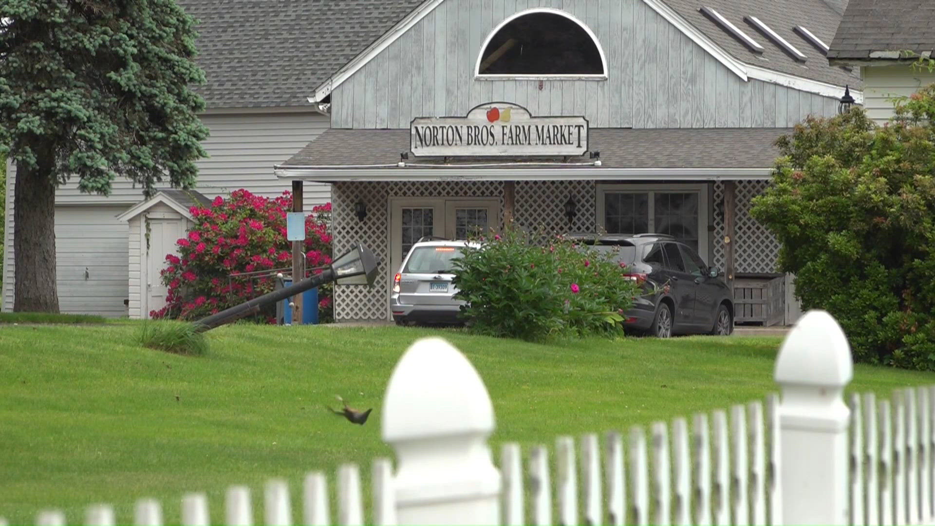 Future of Cheshire fruit farm debated after considerations of an indoor ...