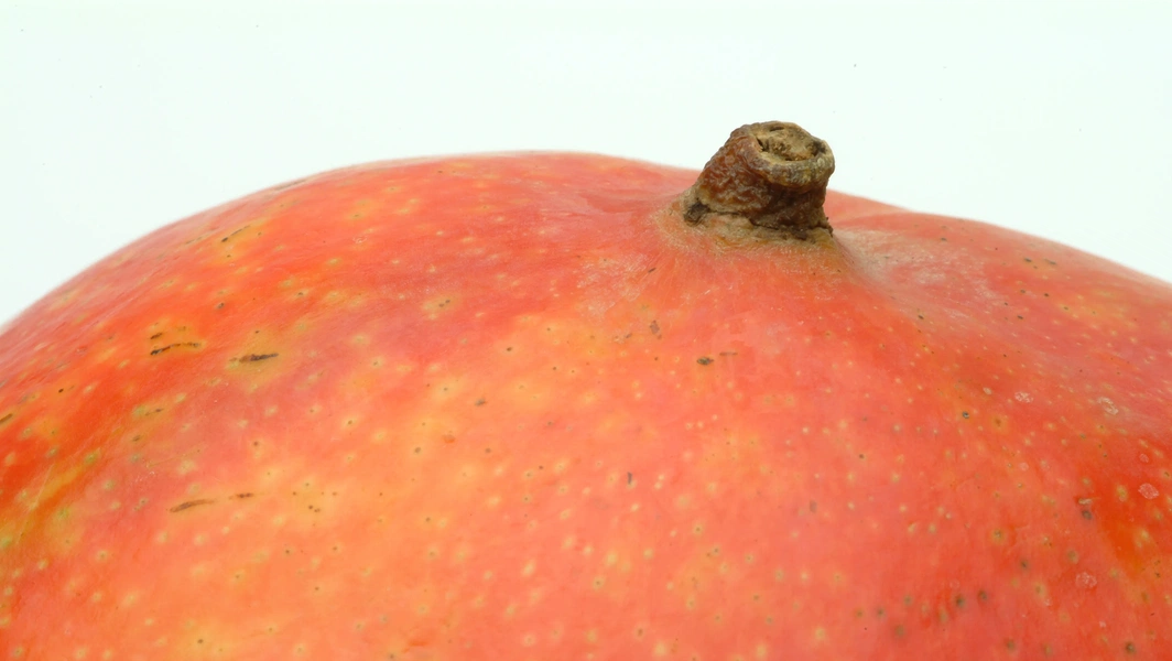 Mango peeling techniques for every ripeness