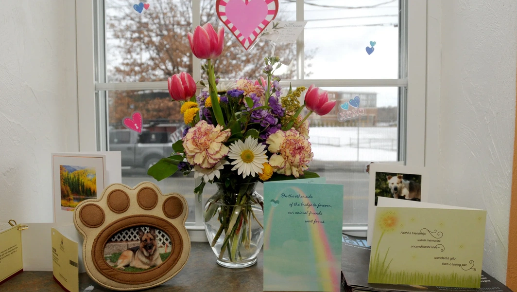 Coping with the loss of a dog