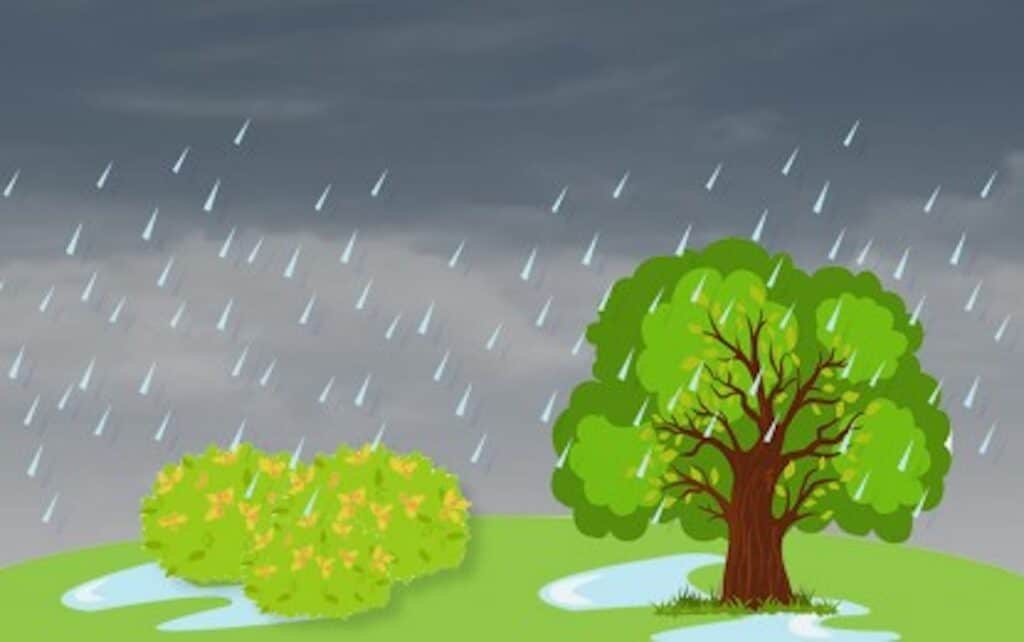 Isolated rain showers continue to prevail across PH – PAGASA