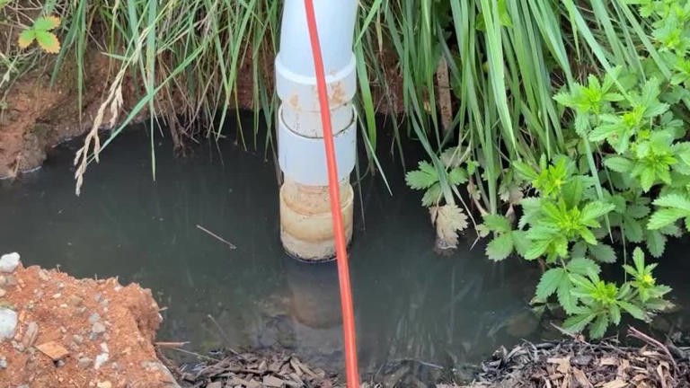 Raw sewage in the road, resident stuck without water at Tazewell mobile ...