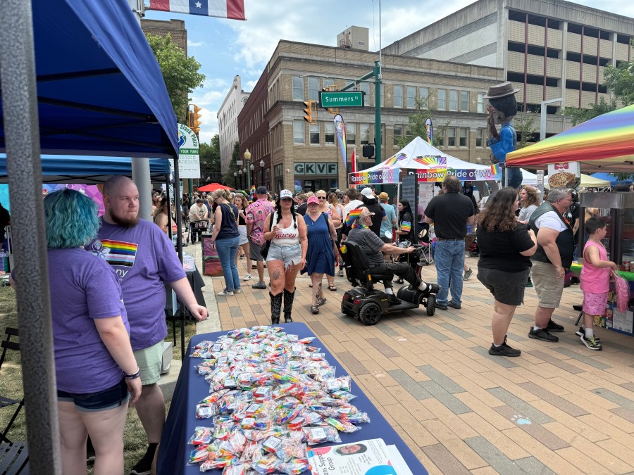 Businesses boom during Charleston Rainbow Pride Festival, store owners say