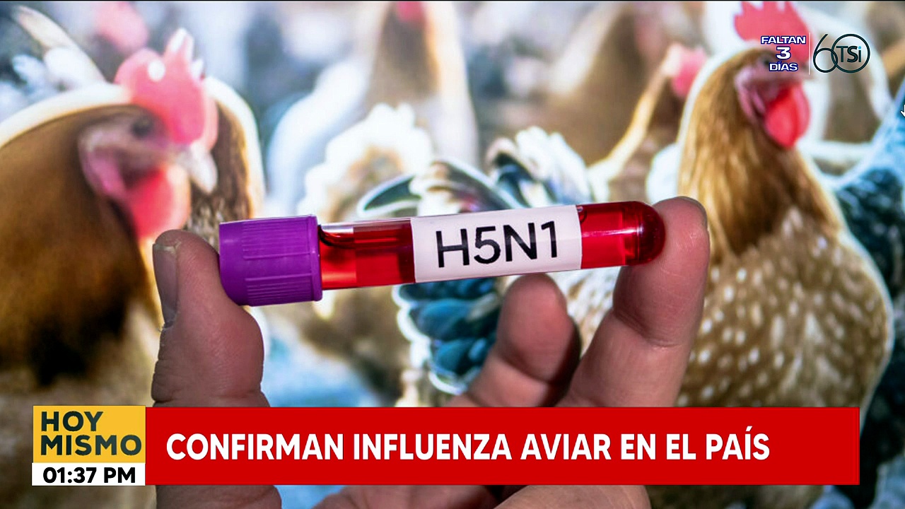 Confirman brote de influenza en aves silvestres en Honduras