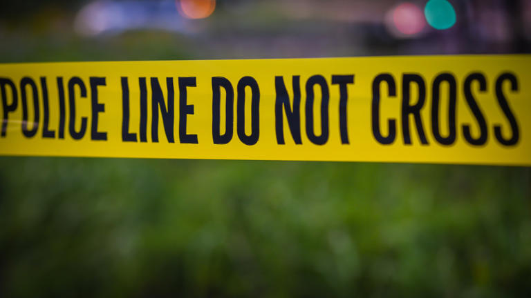 Court docs: Man admits to killing father, trying to murder mother in ...