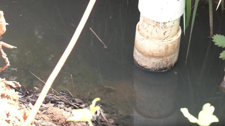 Raw sewage in the road, resident stuck without water at Tazewell mobile ...