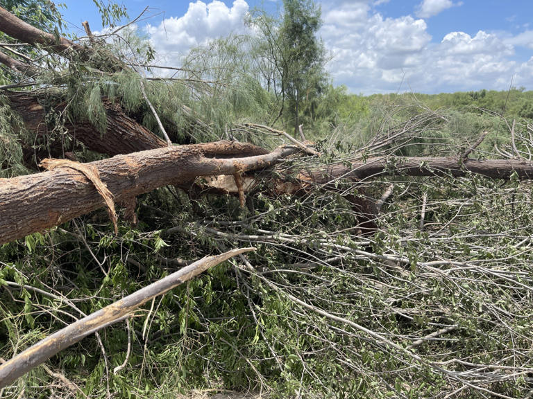 County judge confirms border wall crews are clearing federal floodplains