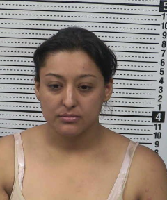 Bond denied for woman in Sunland Park stabbing