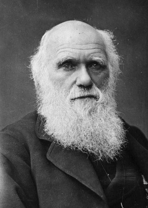 Where did language come from? Nobody really knows, but the theories are ...
